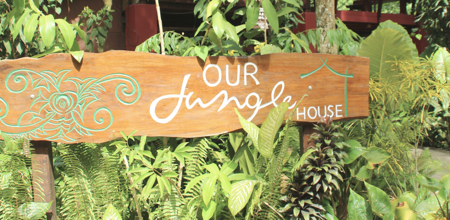 Our Jungle House Review