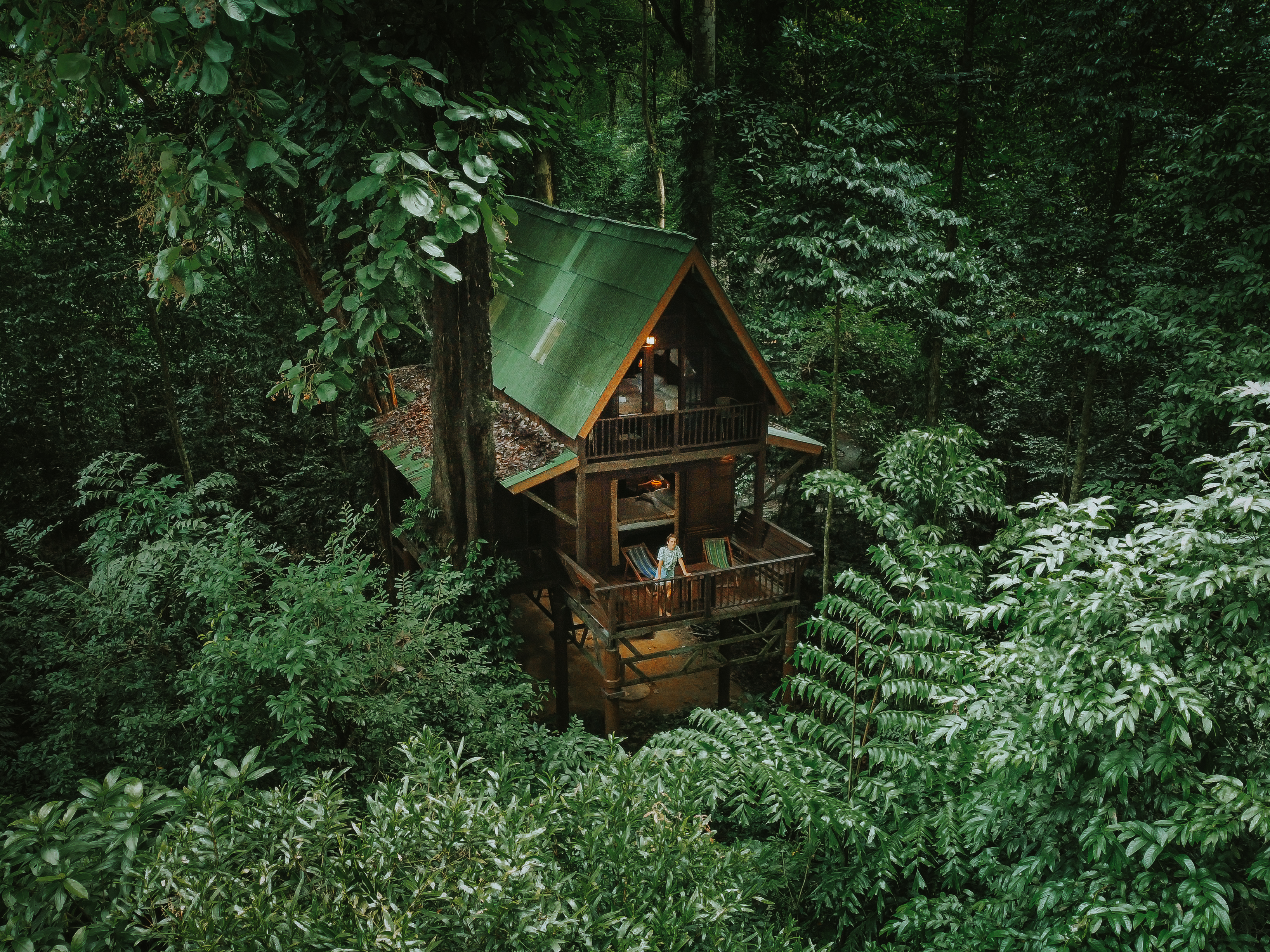 Our Jungle House | Original Khao Sok Treehouse Resort & Jungle Tours